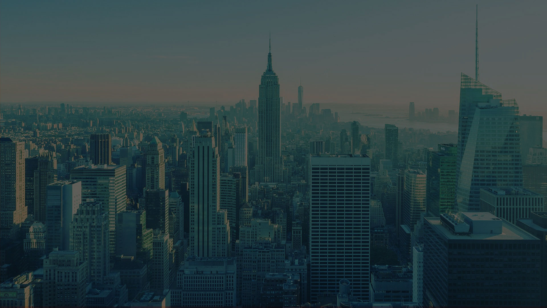 HYPERDESMO®-HAA - Home